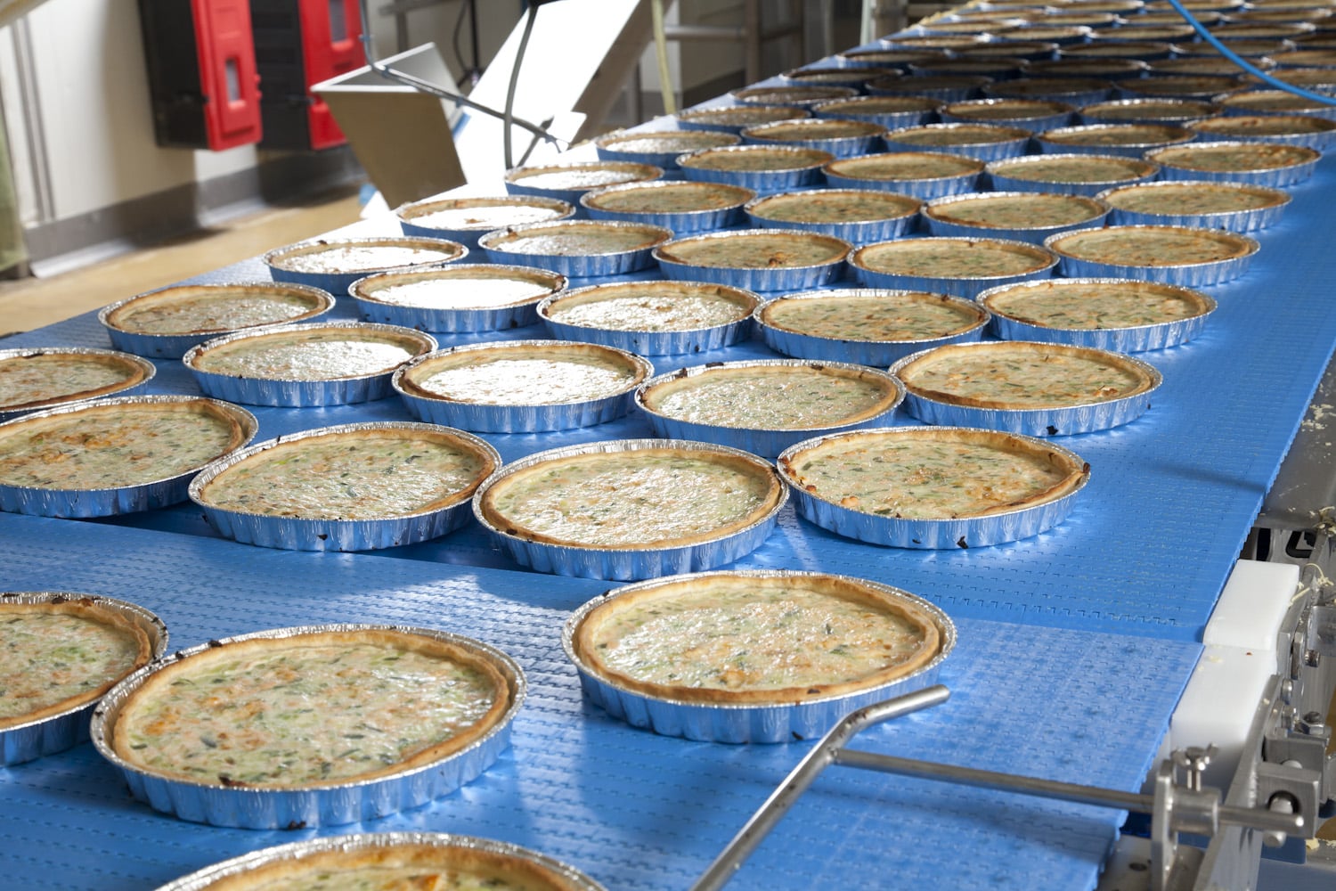 Quelle différence entre congélation et surgélation ? - Atlantique ...